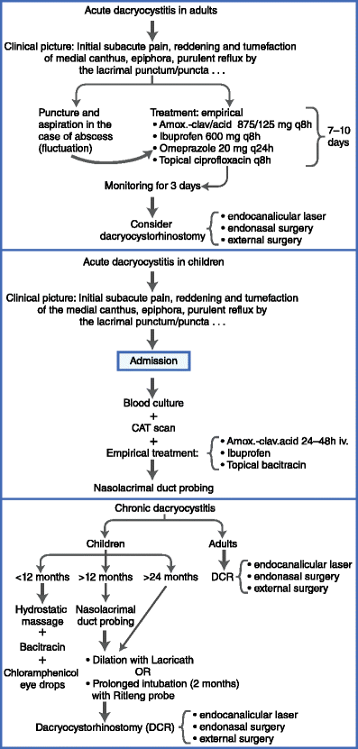 Dacryocystitis: Systematic Approach to Diagnosis and Therapy | SpringerLink