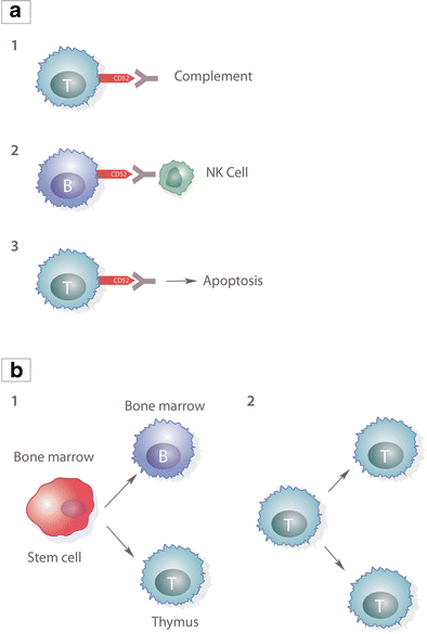 Alemtuzumab for Multiple Sclerosis | SpringerLink