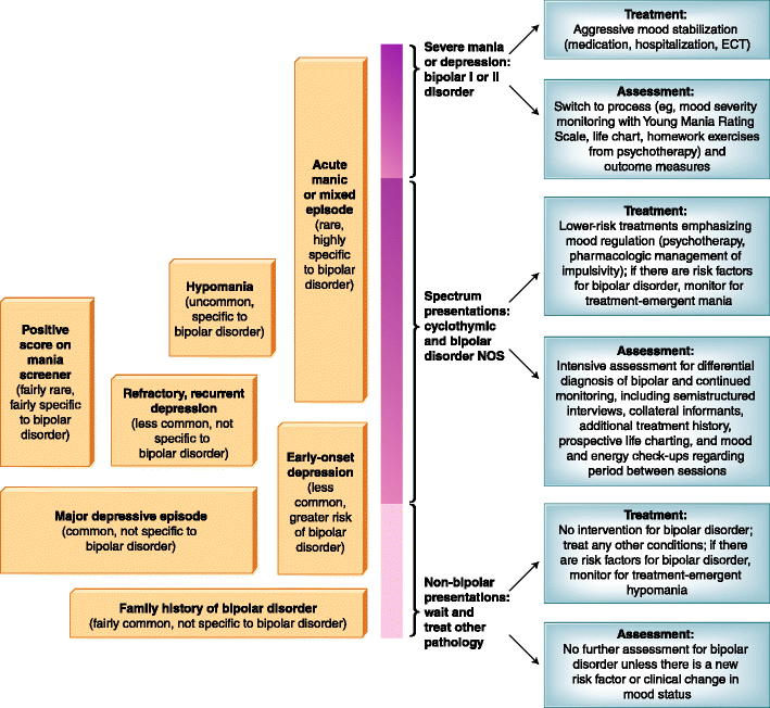 The Bipolar Spectrum: Myth or Reality? | SpringerLink