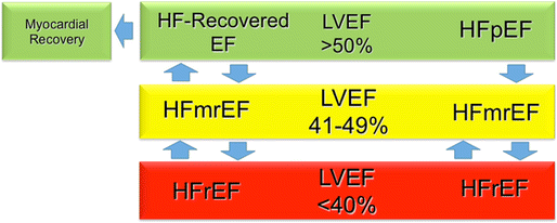 Heart Failure with Recovered EF and Heart Failure with Mid-Range EF ...