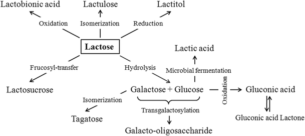 Synthesis of Lactose-Derived Nutraceuticals from Dairy Waste Whey—a ...