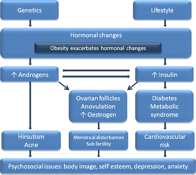 Metformin in women with PCOS, CONS | SpringerLink