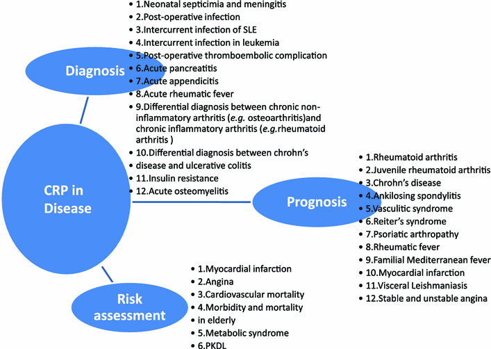 C-reactive protein and the biology of disease | SpringerLink