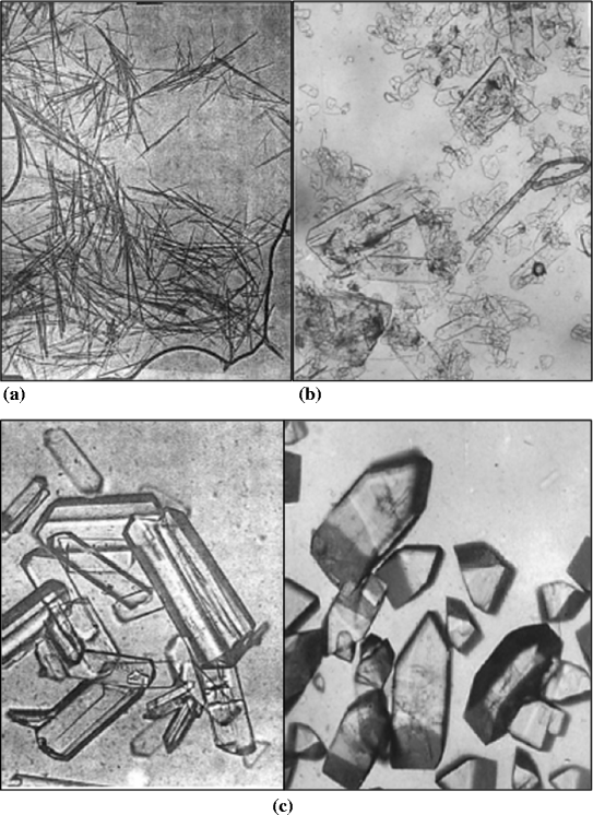 Crystallization: Key thermodynamic, kinetic and hydrodynamic aspects ...