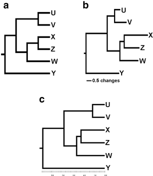 Understanding Evolutionary Trees | SpringerLink