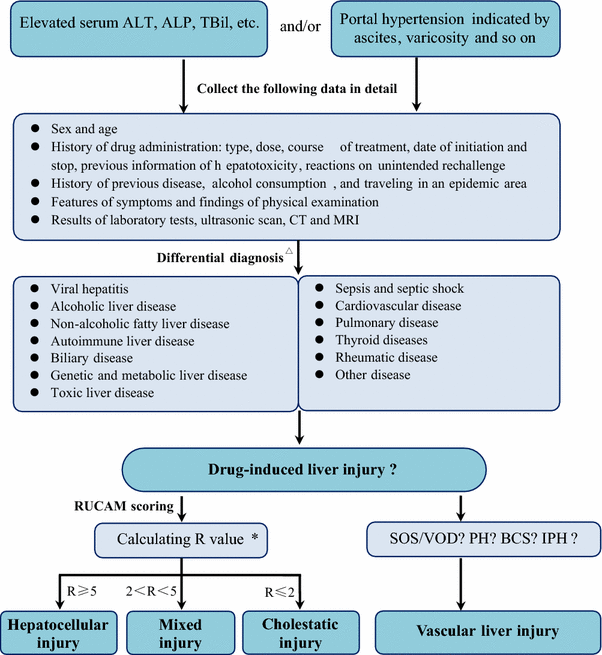 CSH guidelines for the diagnosis and treatment of drug-induced liver ...