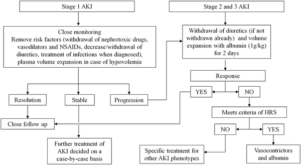 Management of ascites and hepatorenal syndrome | SpringerLink