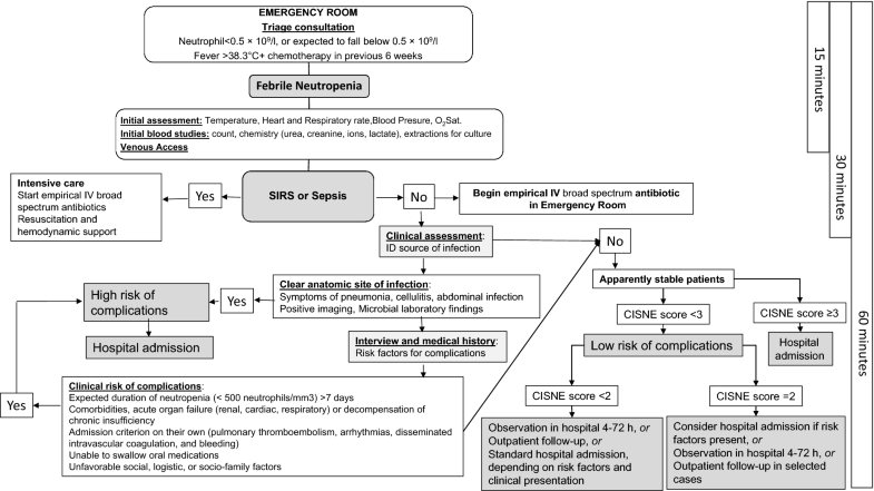SEOM clinical practice guideline: management and prevention of febrile ...