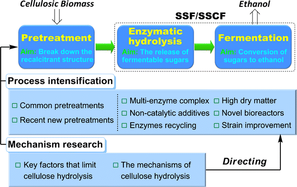 Bioconversion of Lignocellulose into Bioethanol: Process ...