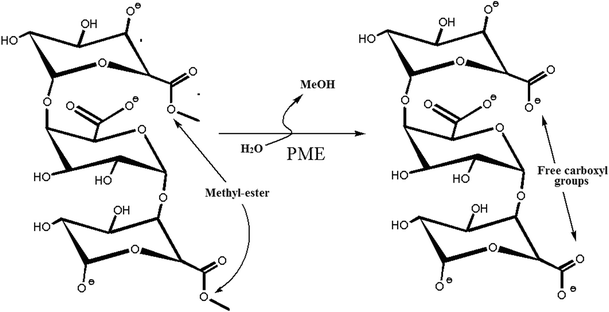 Analytical Methods for Pectin Methylesterase Activity Determination: a ...