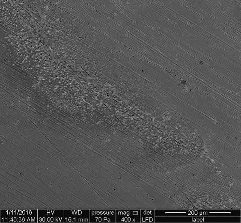 Effects of direct stray current on the performance of cathodic ...