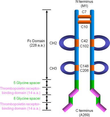The biology of thrombopoietin and thrombopoietin receptor agonists ...