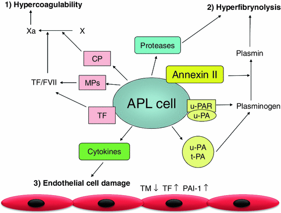 Pathogenesis of disseminated intravascular coagulation in patients with ...