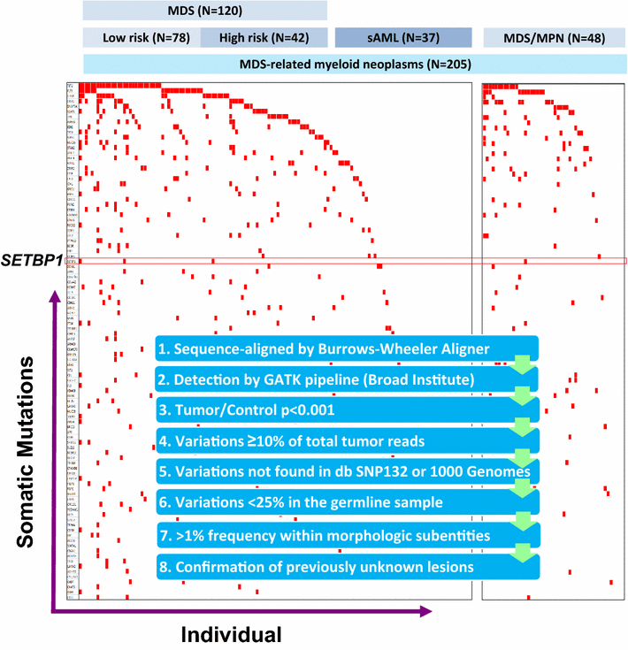 Somatic SETBP1 mutations in myeloid neoplasms | SpringerLink