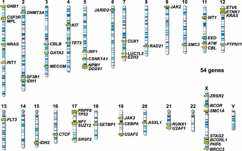Somatic SETBP1 mutations in myeloid neoplasms | SpringerLink