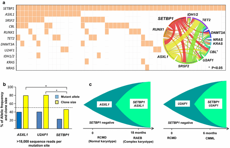 Somatic SETBP1 mutations in myeloid neoplasms | SpringerLink