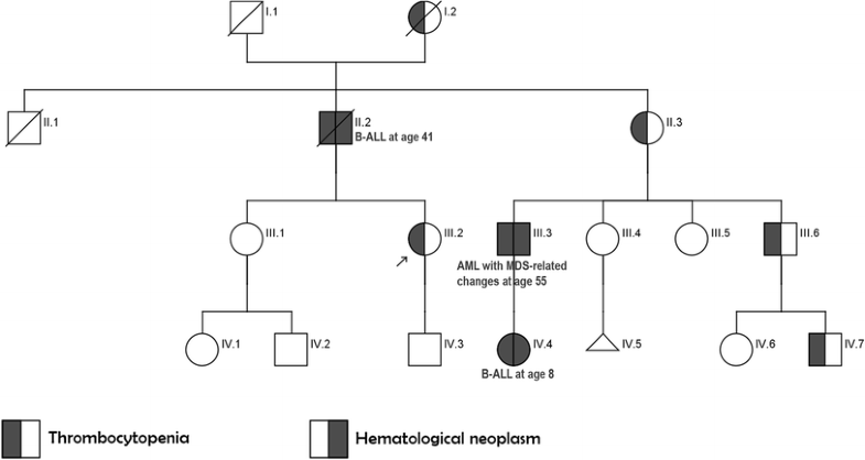 Germline ETV6 mutations and predisposition to hematological ...