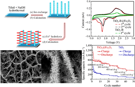 Hierarchical TiO2-B nanowire@α-Fe2O3 nanothorn core-branch arrays as ...