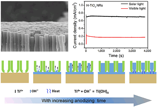 In situ growth of single-crystal TiO2 nanorod arrays on Ti substrate ...