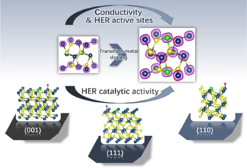 Transition-metal-doped NiSe2 nanosheets towards efficient hydrogen ...