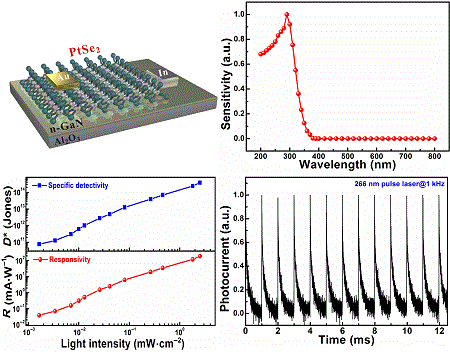 In-situ fabrication of PtSe2/GaN heterojunction for self-powered deep ultraviolet photodetector ...