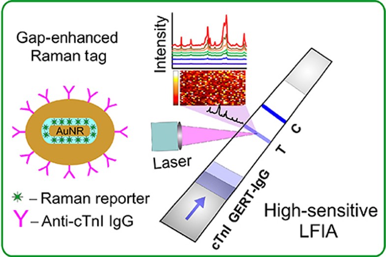 SERS-based lateral flow immunoassay of troponin I by using gap-enhanced ...