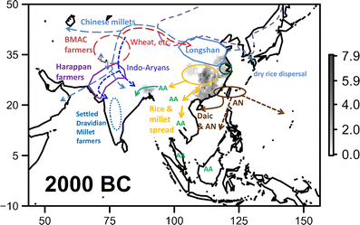 Pathways to Asian Civilizations: Tracing the Origins and Spread of Rice ...