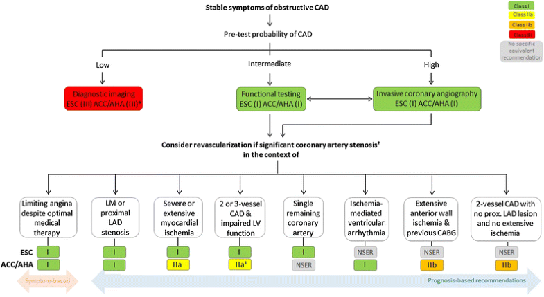 Comparison of ESC and ACC/AHA guidelines for myocardial ...