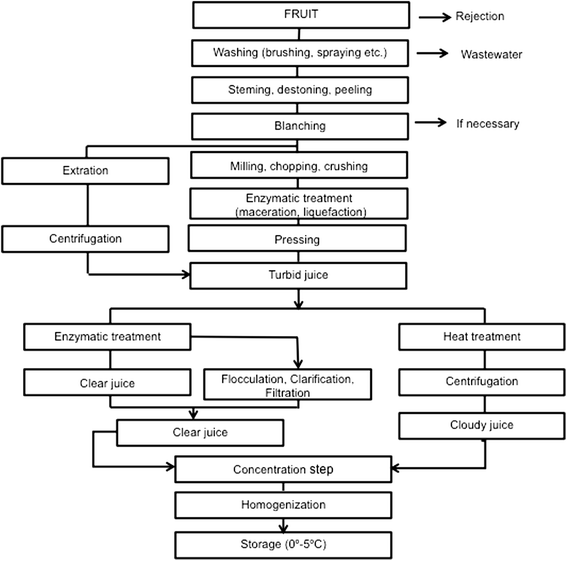 Fruit Juice Processing and Membrane Technology Application | SpringerLink