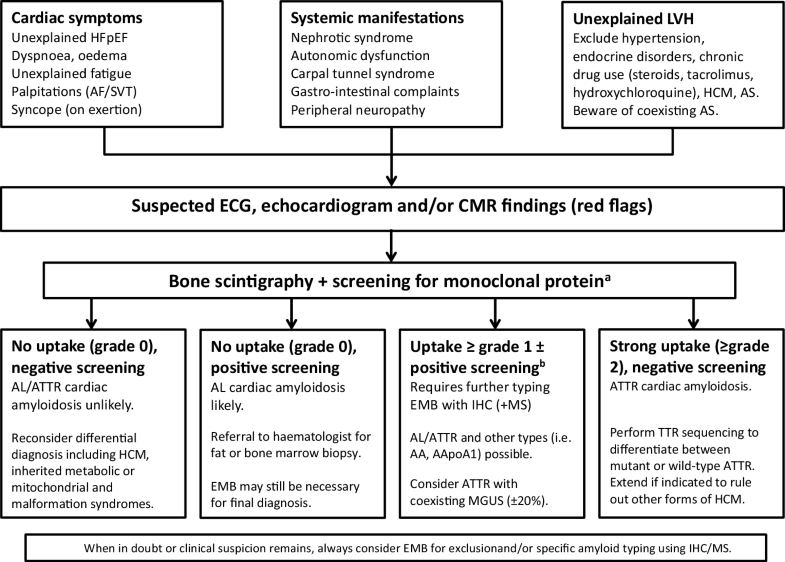 Cardiac amyloidosis: the need for early diagnosis | SpringerLink