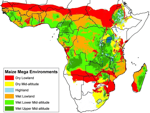 Adapting maize production to climate change in sub-Saharan Africa ...