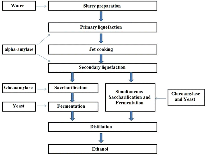 Bioethanol Production from the Raw Corn Starch and Food Waste Employing Simultaneous ...