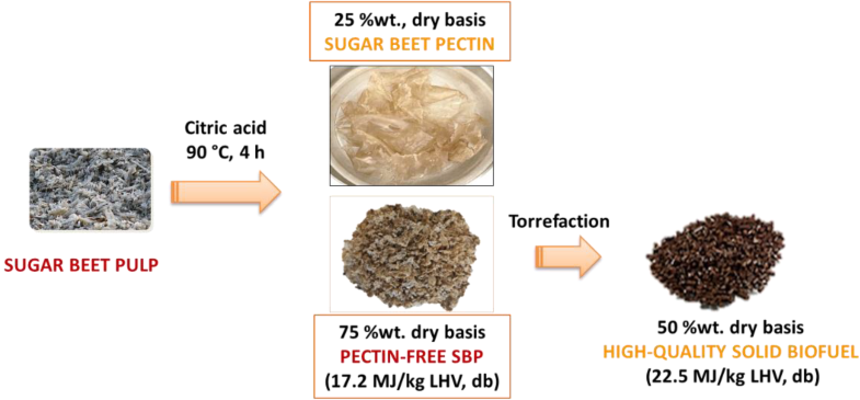 A Simplified Biorefinery Concept For The Valorization Of Sugar Beet a-simplified-biorefinery-concept-for-the-valorization-of-sugar-beet