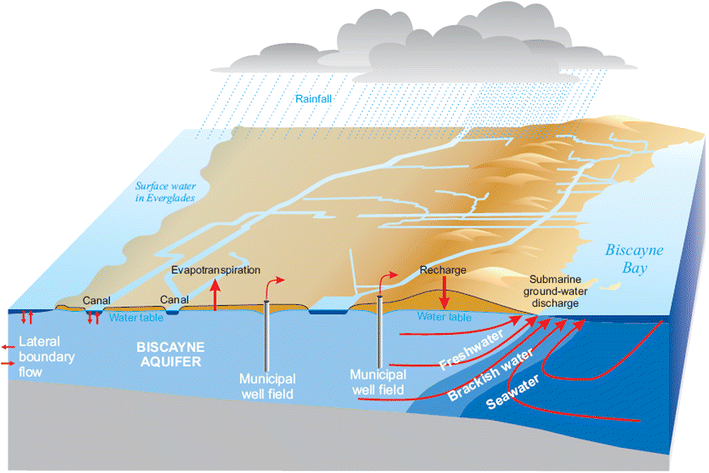 The case of the Biscayne Bay and aquifer near Miami, Florida: density ...