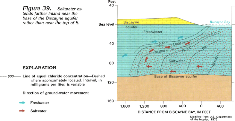 The case of the Biscayne Bay and aquifer near Miami, Florida: density ...