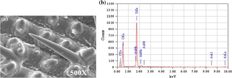Determination of Silica Activity Index and XRD, SEM and EDS Studies of ...