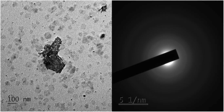 Green Synthesis Of Selenium Nanoparticle Using Leaves Extract Of