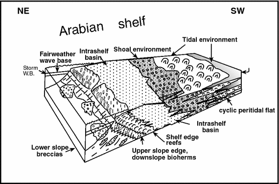 Peritidal to intrashelf basin, facies transition of the Adgham ...