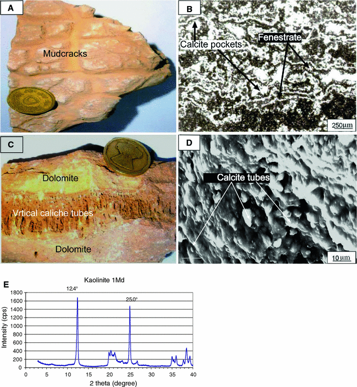 Peritidal to intrashelf basin, facies transition of the Adgham ...