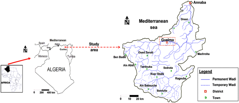 Assessment of water quality: a case study of the Seybouse River (North ...