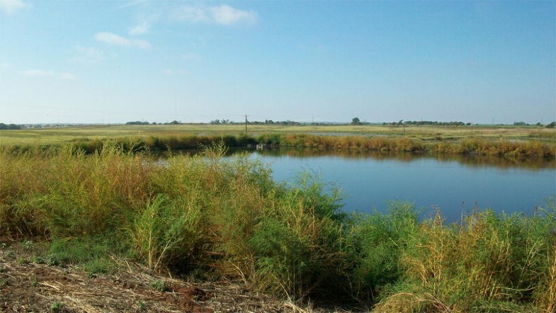 Oxidation pond for municipal wastewater treatment | SpringerLink