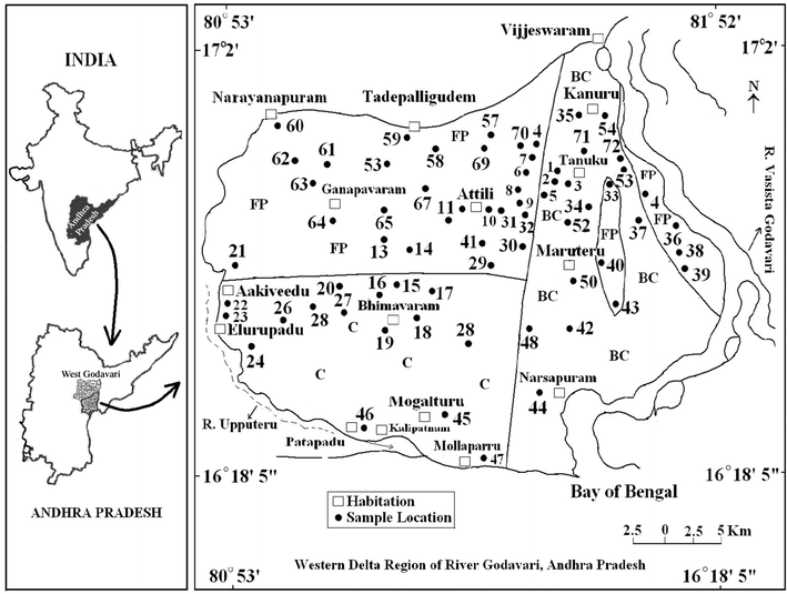 Geochemical evolution of groundwater in the Western Delta region of ...