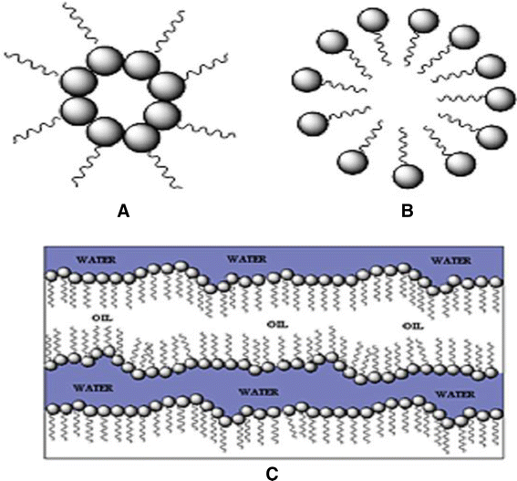 Microemulsions: a novel approach to enhanced oil recovery: a review ...