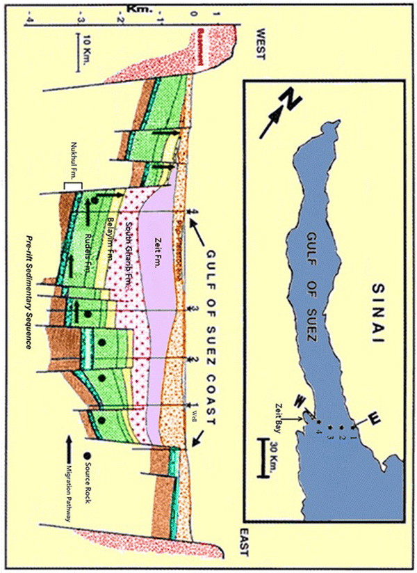 The Lower Miocene Nukhul Formation (Gulf of Suez, Egypt): microfacies ...