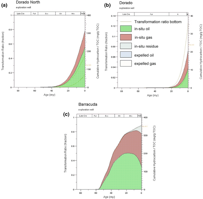 Assessment of hydrocarbon generation potential and thermal maturity of ...