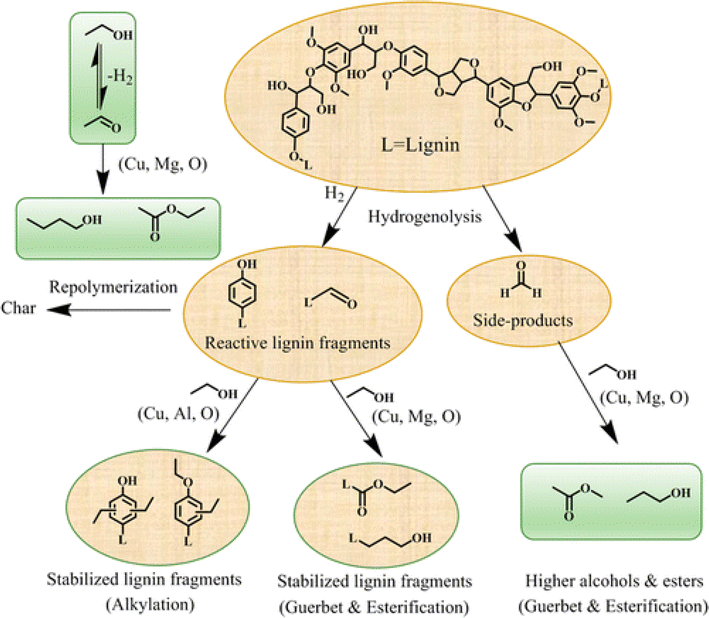 Heterogeneously catalyzed lignin depolymerization | SpringerLink