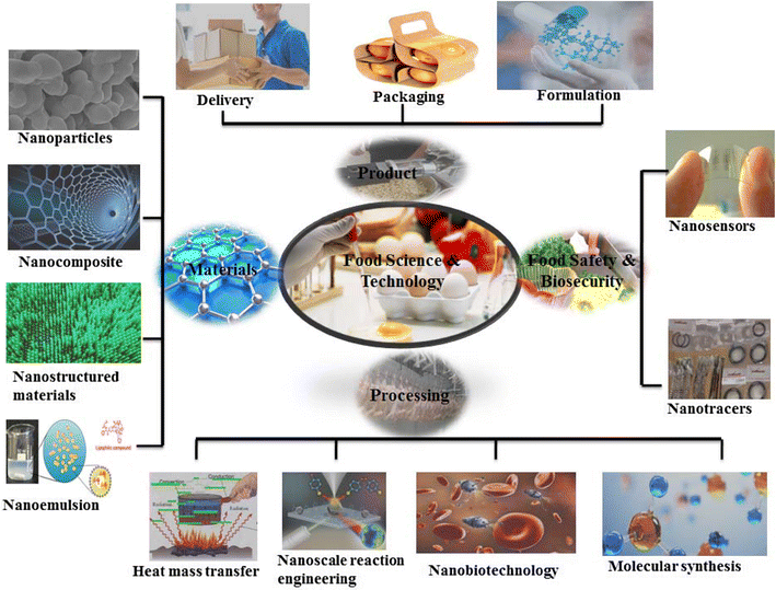 Nanotechnology: current uses and future applications in the food industry | SpringerLink