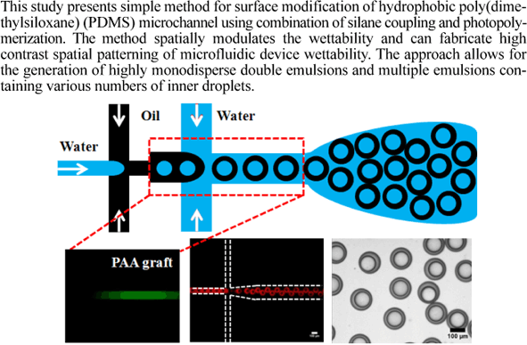 Regioselective surface modification of pdms microfluidic device for the ...
