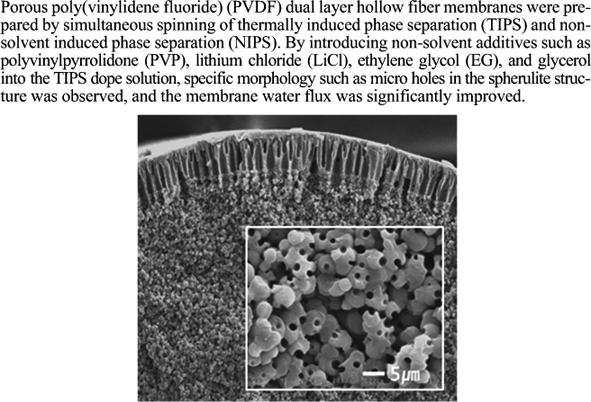 Effect of PVP, lithium chloride, and glycerol additives on PVDF dual ...