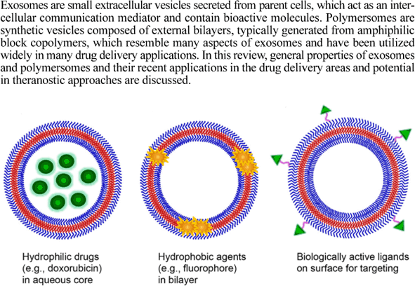 Exosome and polymersome for potential theranostic applications ...